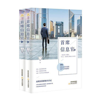 包邮：首席信息官（上下册） 小说   图书