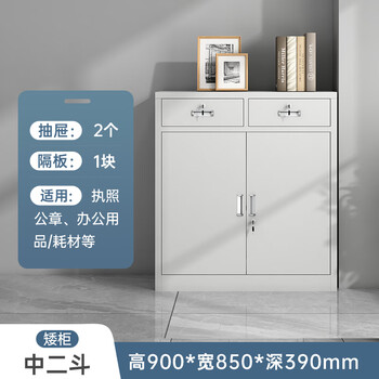 【润虎润虎文件柜铁皮柜】润虎矮柜员工柜储物柜铁皮柜文件柜财务办公柜资料柜器材柜档案柜【行情 报价 价格 评测】-京东