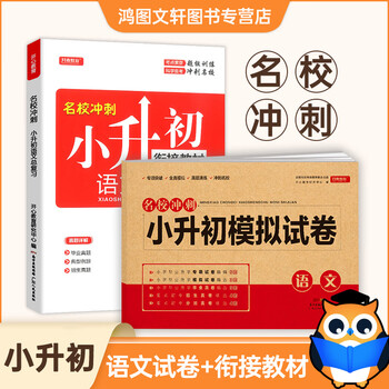小升初语文模拟试卷+衔接教材系统总复习知识大全必刷题练习册人教版 小学升初中辅导复习资料专项训练真题