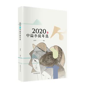 2020年中篇小说年选