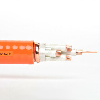 上上 矿物质防火电缆 NG-A（BTLY）柔性电缆 NG_A 10米价 NG-A(BTLY) 5*16【图片 价格 品牌 报价】-京东