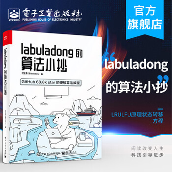 官方正版 labuladong的算法小抄 付东来 刷题算法思维笔试套路框架思维LRULF