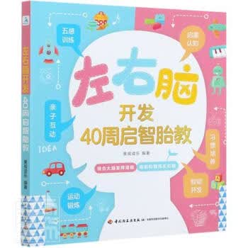 左右脑开发40周启智胎教 奥视读乐 中国轻工业出版社