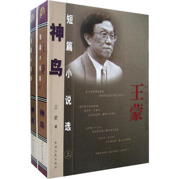 王蒙神鸟（上册） 王蒙