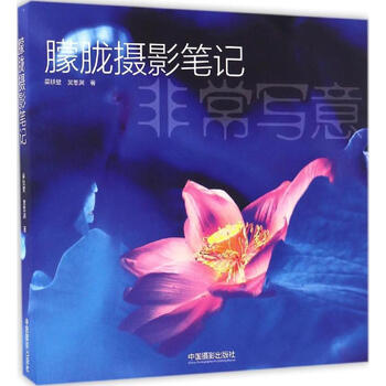 朦胧摄影笔记 吴铁壁,吴思渊  书籍