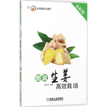 图说生姜高效栽培(全彩版) 彭长江 主编 书籍