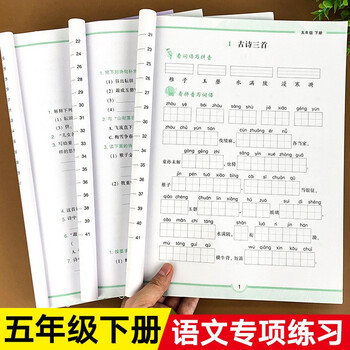 五年级下册同步训练专项练习册人教版小学语文看拼音写词语+阅读理解+句子训练全套3册练习题天天练部编版