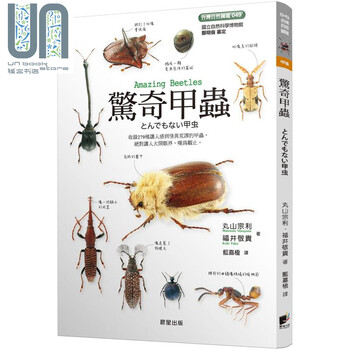 惊奇甲虫 港台原版 丸山宗利 福井敬贵 晨星 昆虫图鉴 昆虫百科科普