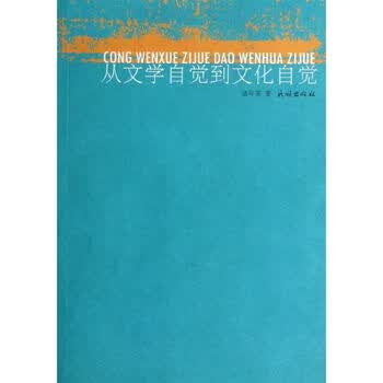 从文学自觉到文化自觉 潘年英 作 书籍