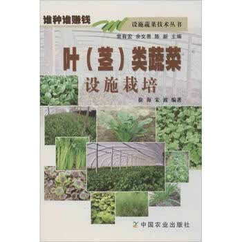 叶(茎)类蔬菜设施栽培