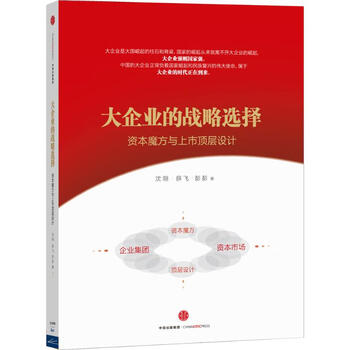 大企业的战略选择