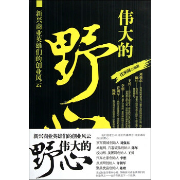 伟大的野心(新兴商业英雄们的创业风云)