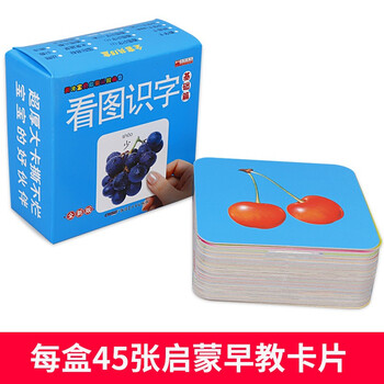 无图识字卡 基础篇天才宝贝启蒙认知必备幼儿宝宝认字拼音学习神器