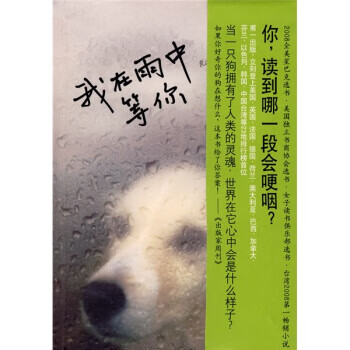 我在雨中等你【正版图书，售后无忧】