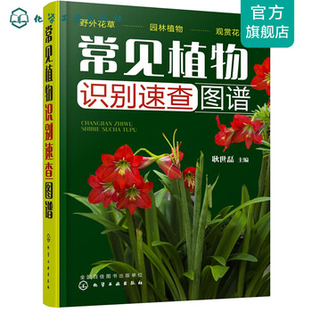 常见植物识别速查图谱