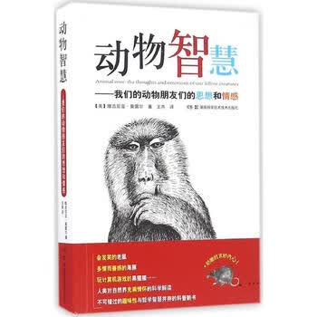动物智慧