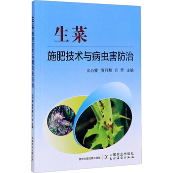 生菜施肥技术与病虫害防治