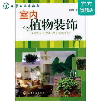 室内植物装饰