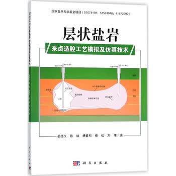 层状盐岩采卤造腔工艺模拟及仿真技术