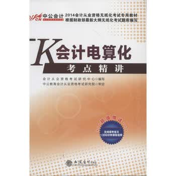 会计电算化考点精讲(新版)