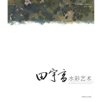 田宇高水彩艺术 高冬 作 高冬 主编 书籍