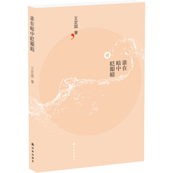 谁在暗中眨眼睛 王定国 9787544756488 译林出版社