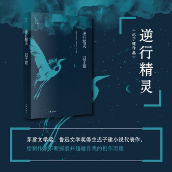 逆行精灵（茅盾文学奖、鲁迅文学奖得主迟子建小说亲选集，绘制作家不断探索并超越自我的创作历程）
