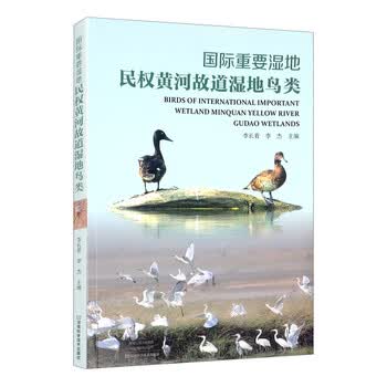国际重要湿地民权黄河故道湿地鸟类