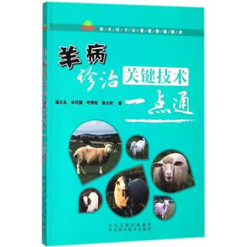 羊病诊治关键技术一点通 薛占永 等  书籍