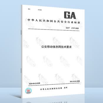 GA/T 1737-2020 公安移动信息网技术要求