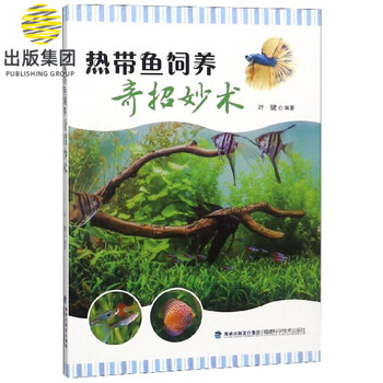 热带鱼饲养奇招妙术