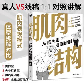 肌肉结构(从照片到漫画绘制)