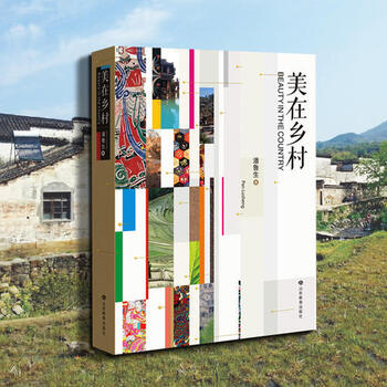美在乡村 潘鲁生 山东教育出版社 9787570104772