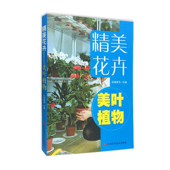 精美花卉美叶植物