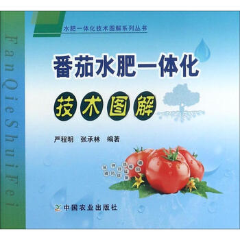 番茄水肥一体化技术图解