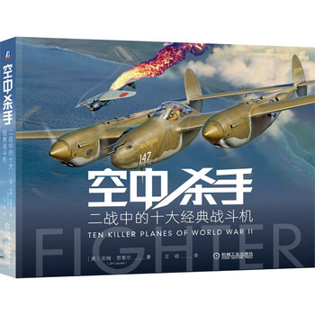 空中杀手：二战中的十大经典战斗机 军事插图画家倾心力作