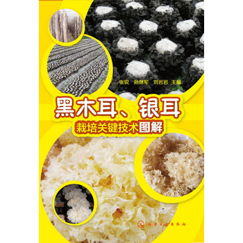 黑木耳、银耳栽培关键技术图解 张锐、孙继军、刘岩岩 主编