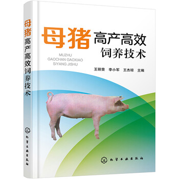 母猪高产高效饲养技