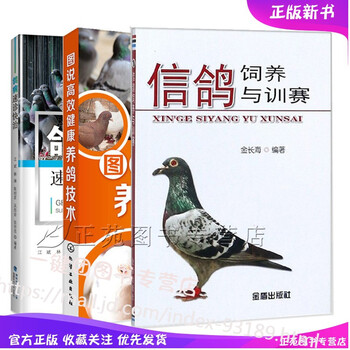 3册 鸽病速诊快治+信鸽饲养与训赛+图说高效健康养鸽技术 鸽子高效养殖书籍 鸽病诊断与防治书籍 常见