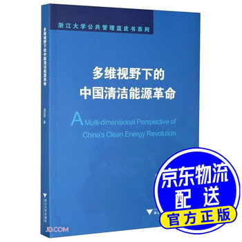 多维视野下的中国清洁能源革命