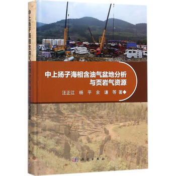 中上扬子海相含油气盆地分析与页岩气资源