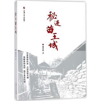 秘进苗王城