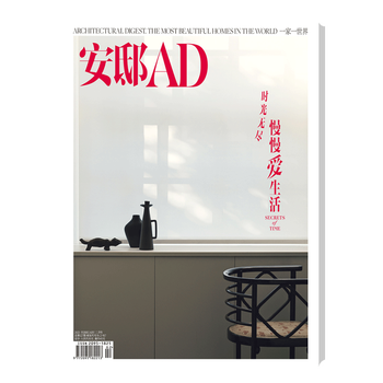 安邸AD 时尚家居 21年2月刊 时光无尽 慢慢爱生活
