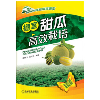 棚室甜瓜高效栽培