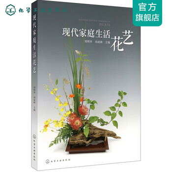 现代家庭生活花艺