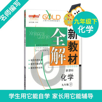 第三次修订 新教材全解 化学 9/九年级下