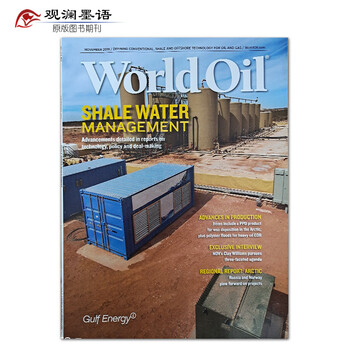 World Oil 2019年11月刊 美国世界石油天然气杂志 英文英语杂志
