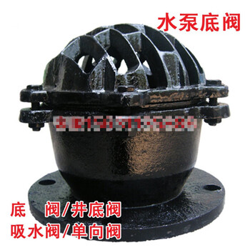 H42X-10法兰底阀止回阀 抽水泵吸水底阀DN50 65 80 100 150 200 DN150-16压力【图片 价格 品牌 报价】-京东