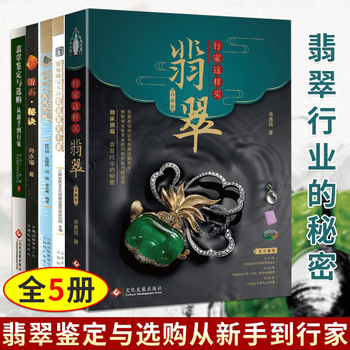 翡翠鉴定与选购从新手到行家\/行家这样买翡翠\/常见珠宝玉石简易鉴定手册\/赌石.秘诀等5册翡翠入门书籍