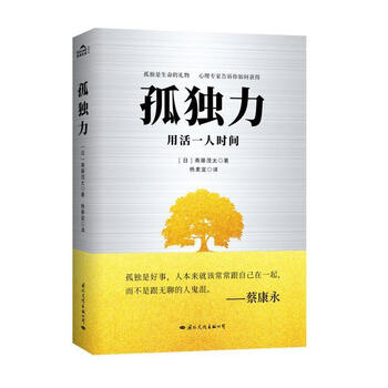 孤独力心理学  图书